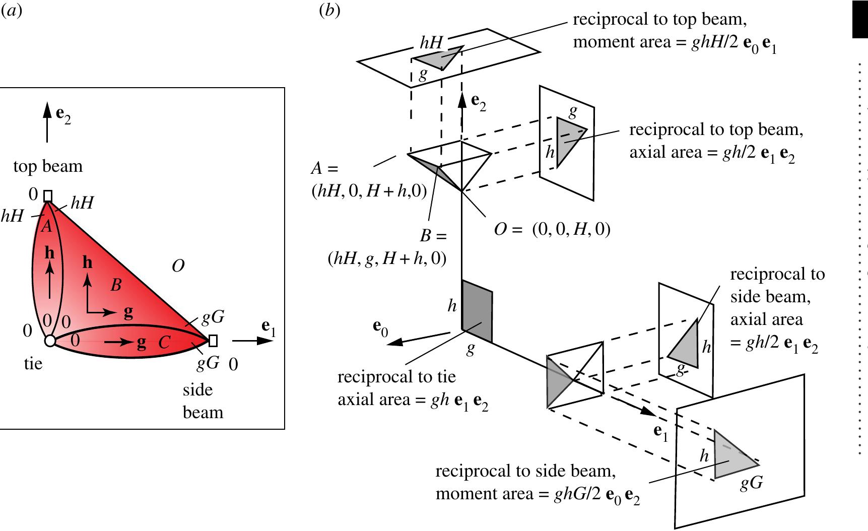 (a) a transverse section through the four cells a, b, c, 0