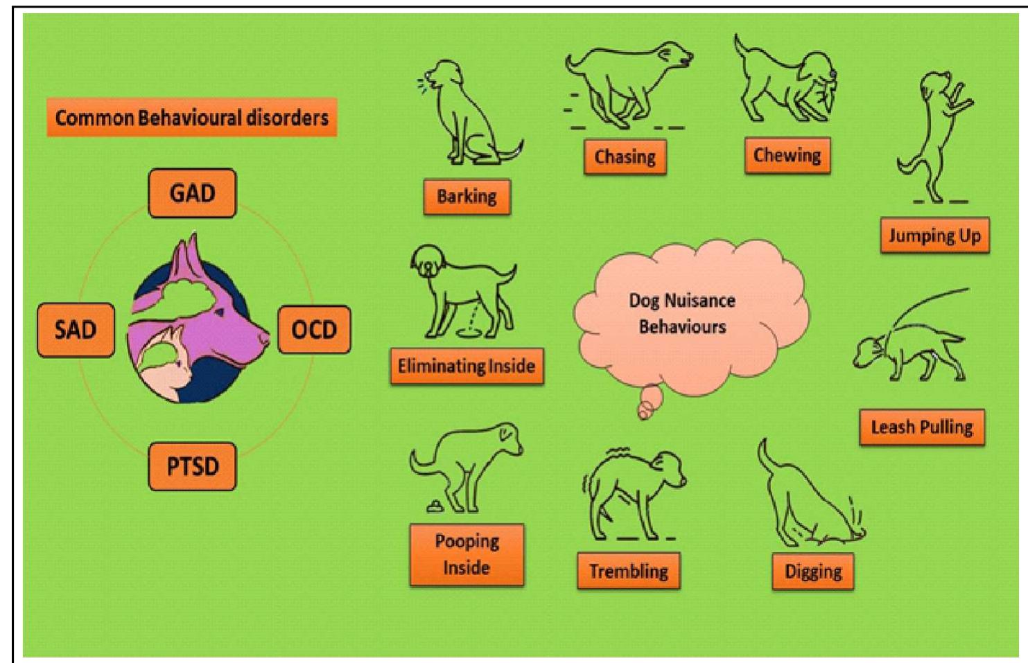 Gad (generalized anxiety disorder); sad (separation anxiety