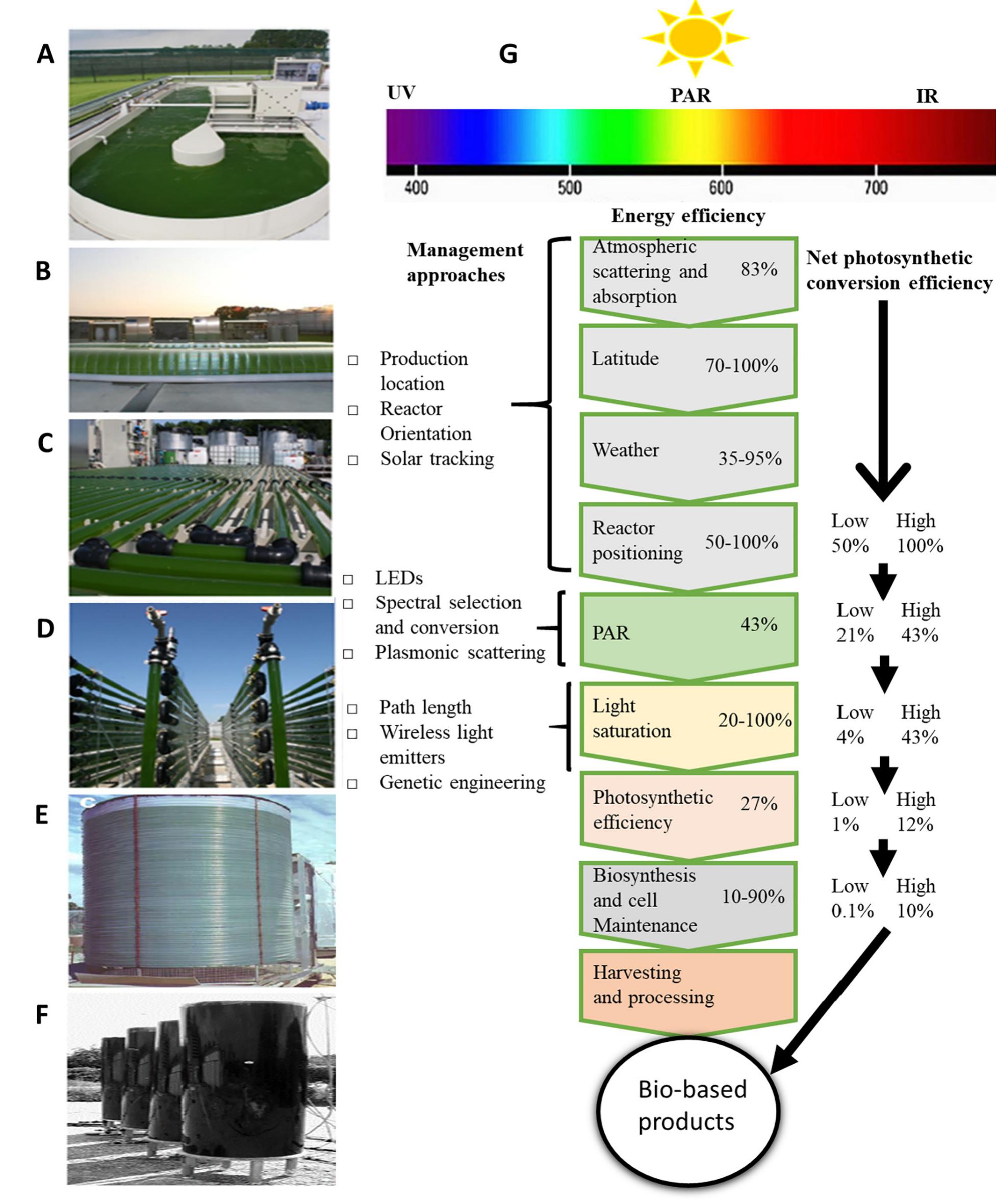 Pilot-scale photobioreactor configurations and conversion