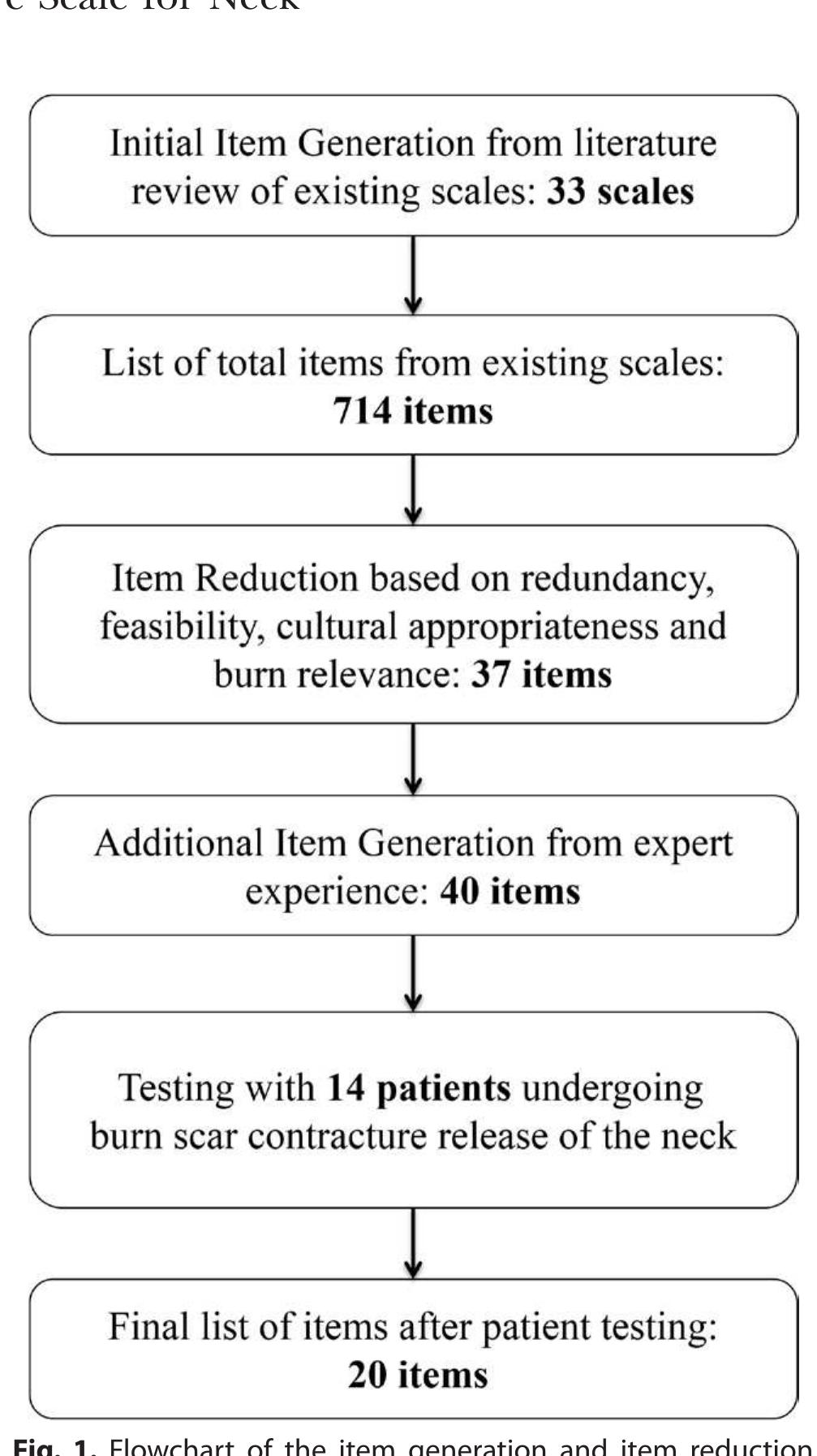 Figure 1 - The Stanford-ReSurge Burn Scar Contracture Scale