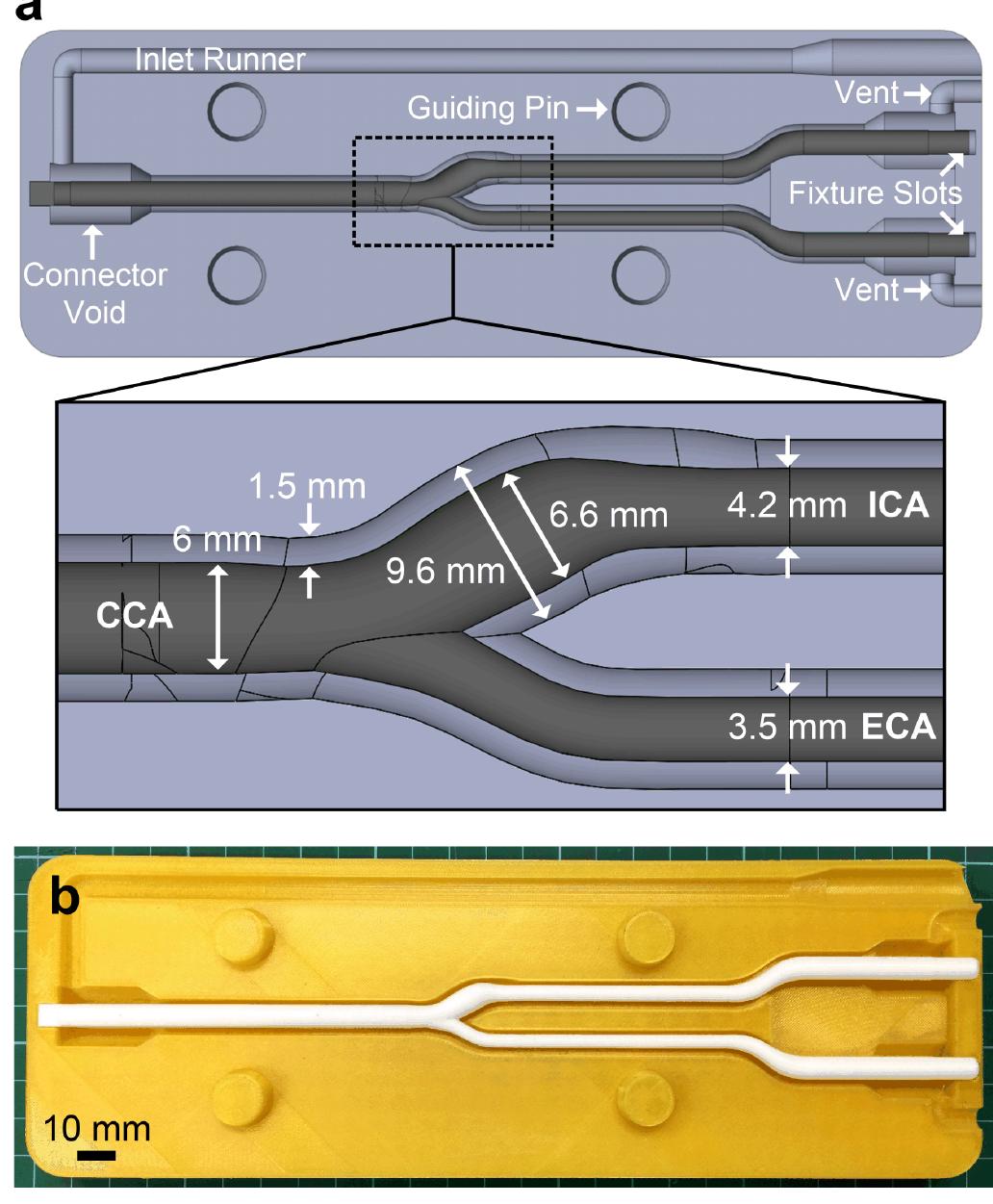 Illustration of outer mold design in the new phantom
