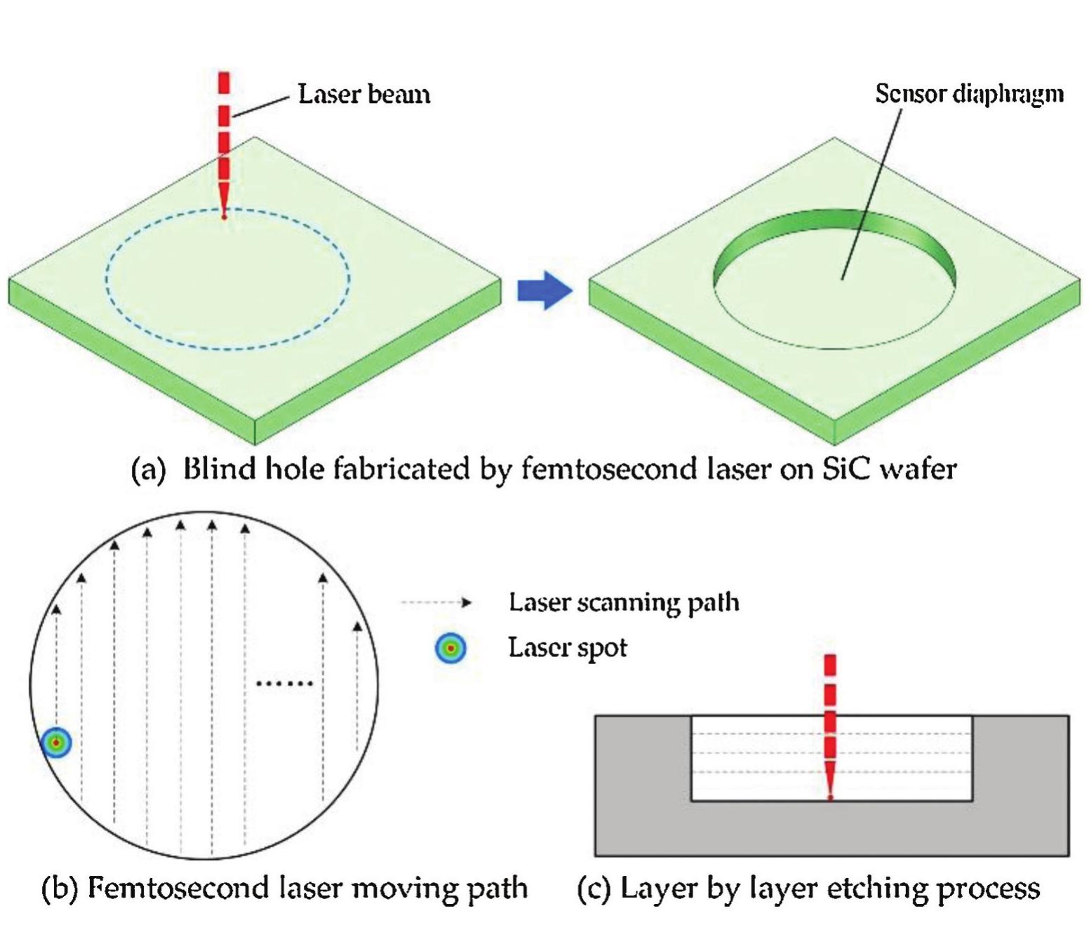 Schematic diagram of the circular diaphragm processing