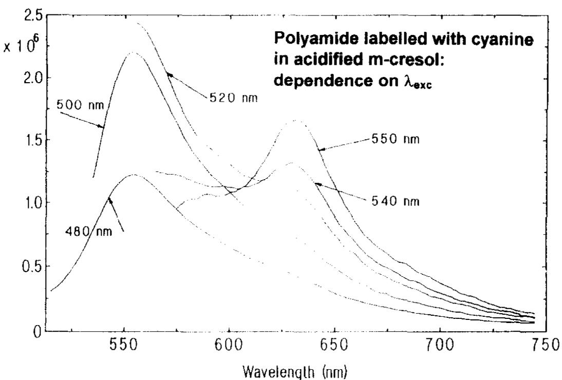 Fluorescence emission spectra of polyamide labelled with the