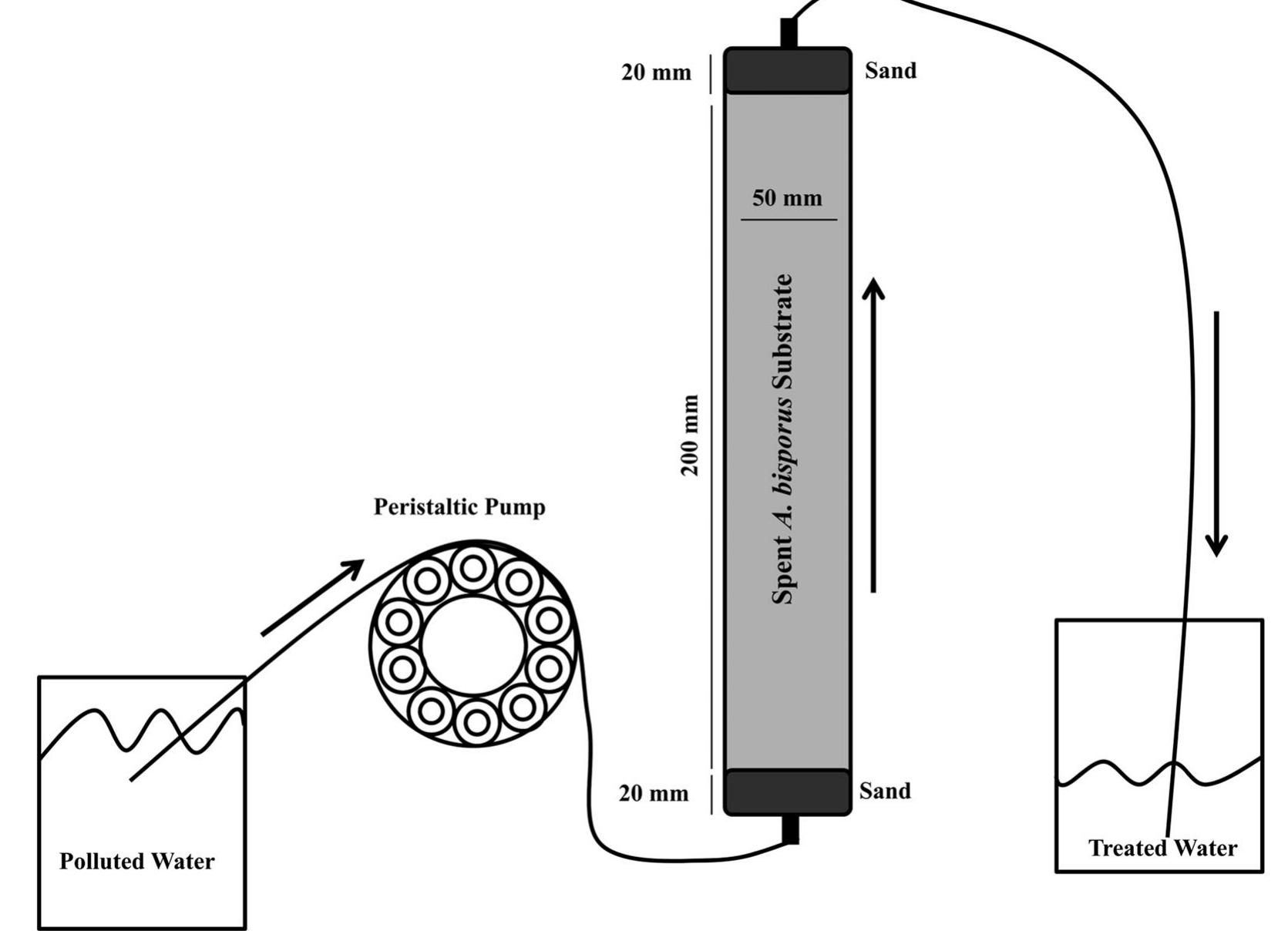 Diagram of the biofilter design. arrows show the direction
