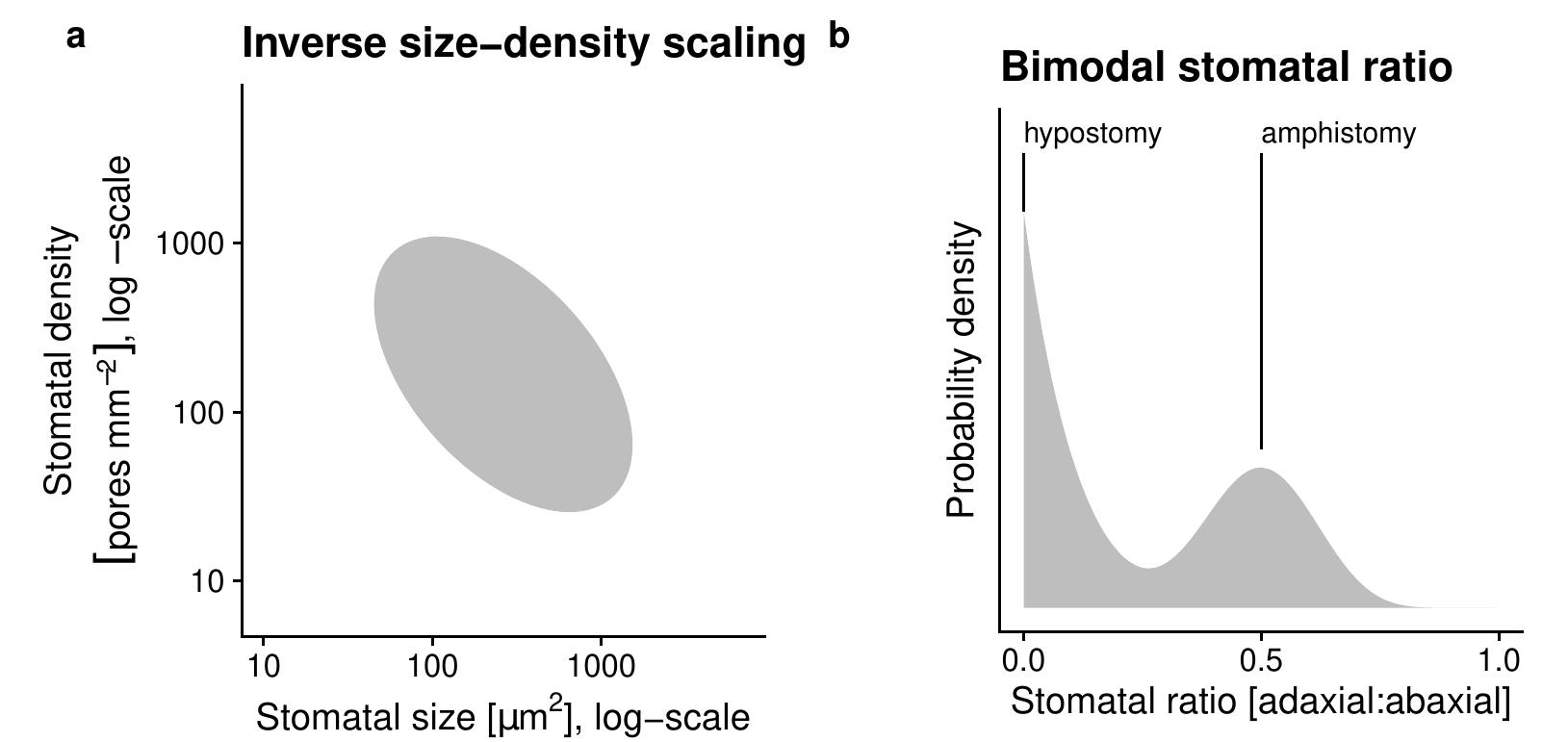 Two salient features of stomatal anatomy in land plants are