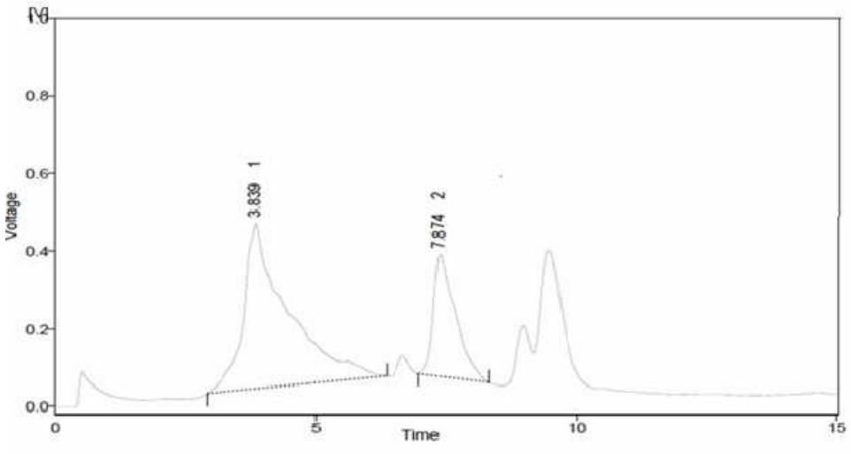 Figure 4 - HPLC and GC-MS: Identification and Quantification