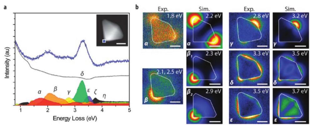 Plan-view eels spectrum imaging of a silver right bipyramid.