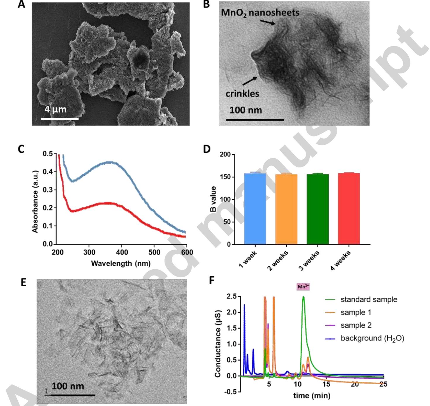 (a) sem image of the bulk mno, material. (b) tem image of