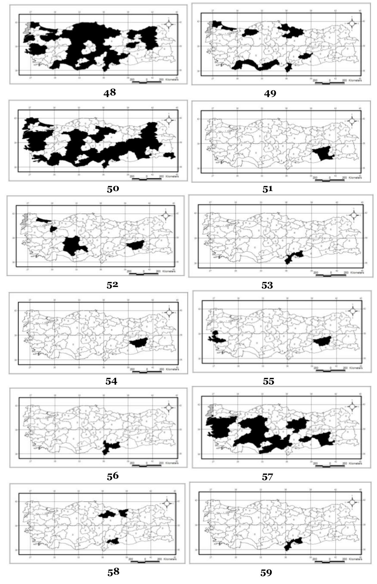 Figure 6 - The Longicorn Beetles of Turkey (Coleoptera: