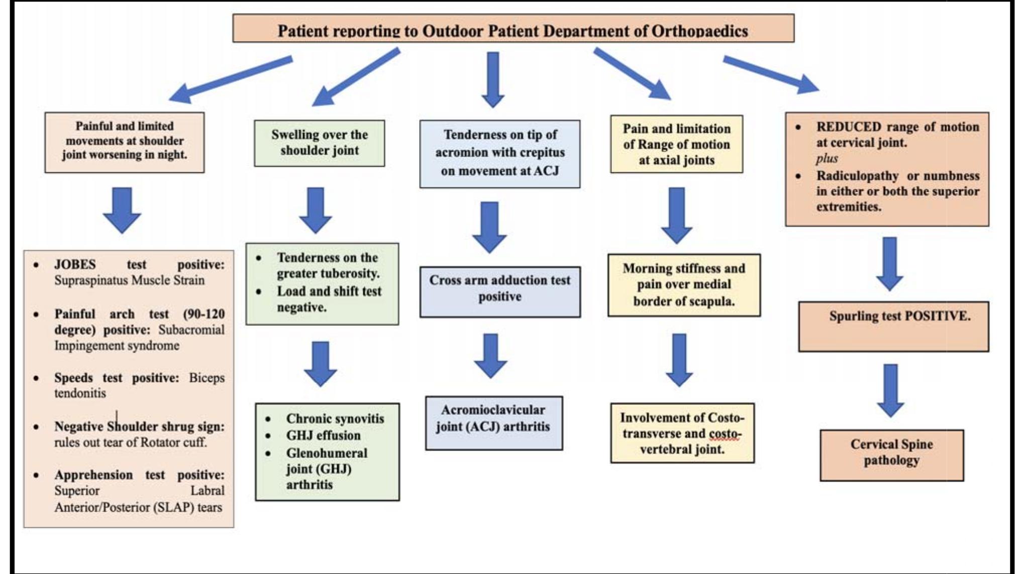 Ghj: gleno-humeral joint; acj: acromio-clavicular joint;