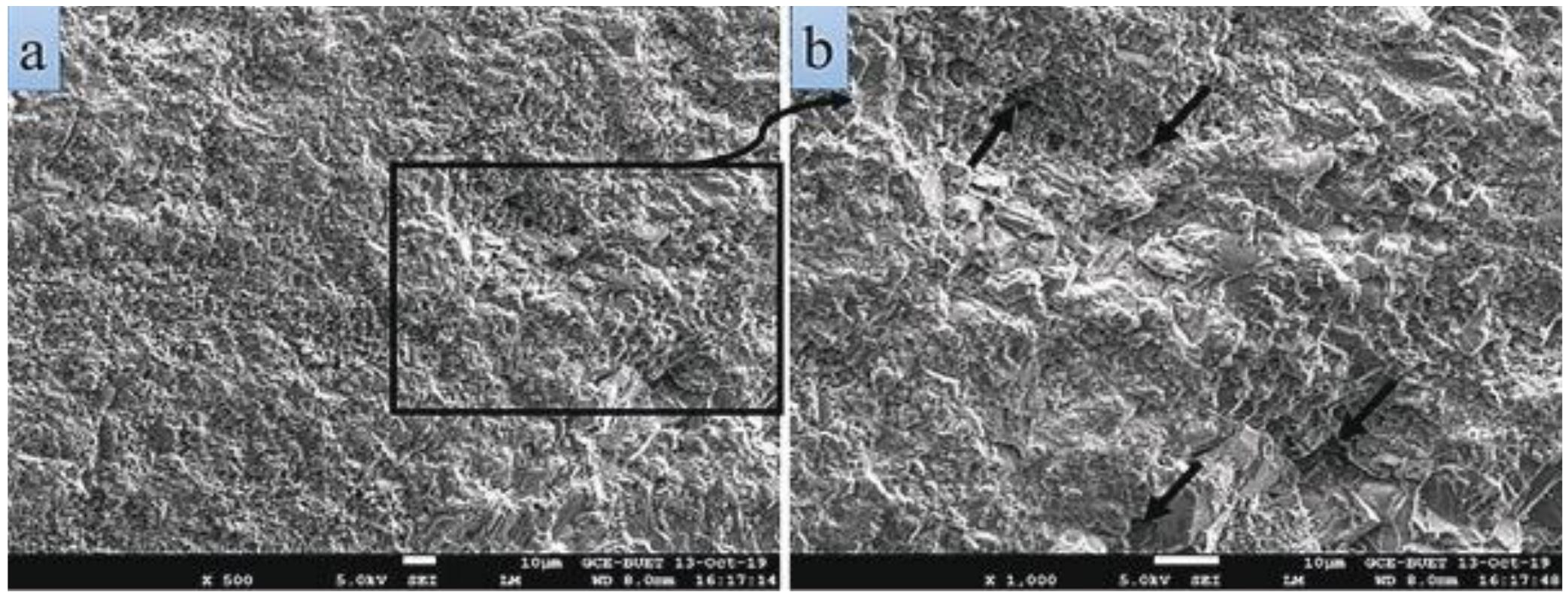 Image obtained using a scanning electron microscope (sem)