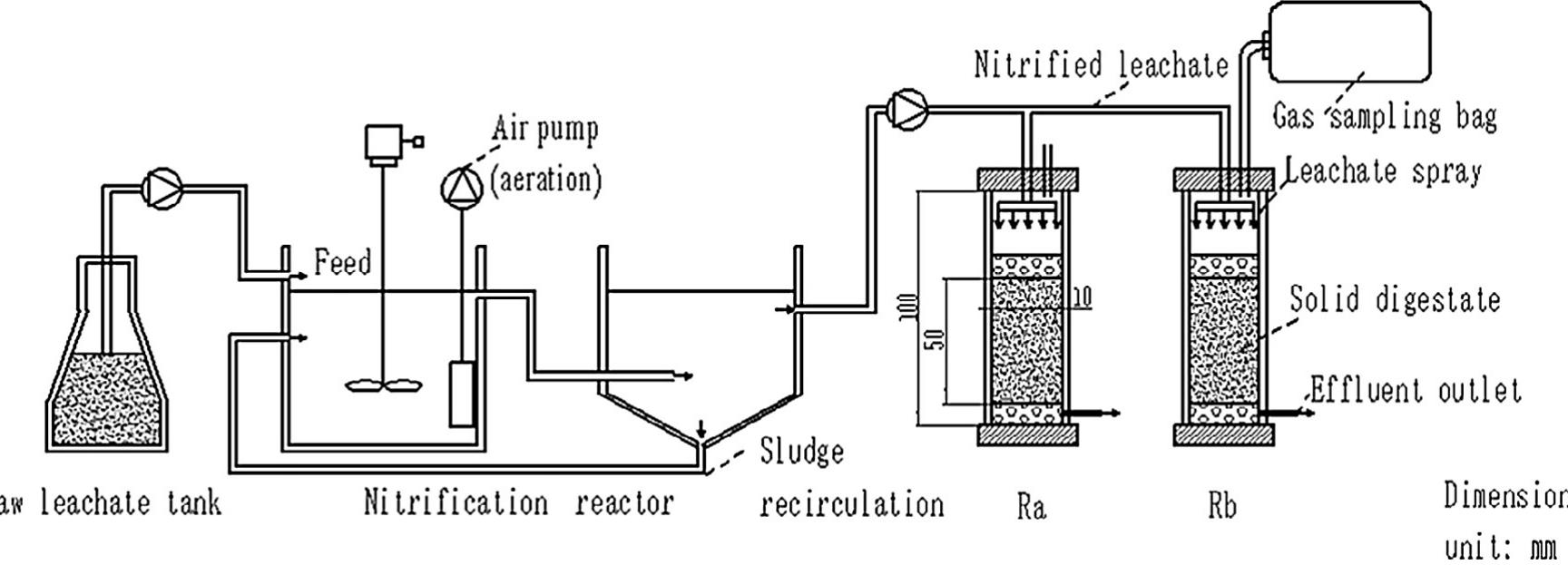 Reactor setup and experimental sketch.