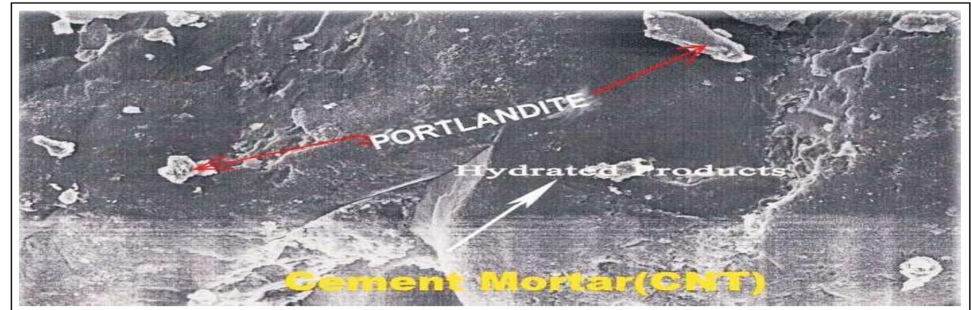 Carbon is the only element that has stable allotropes from