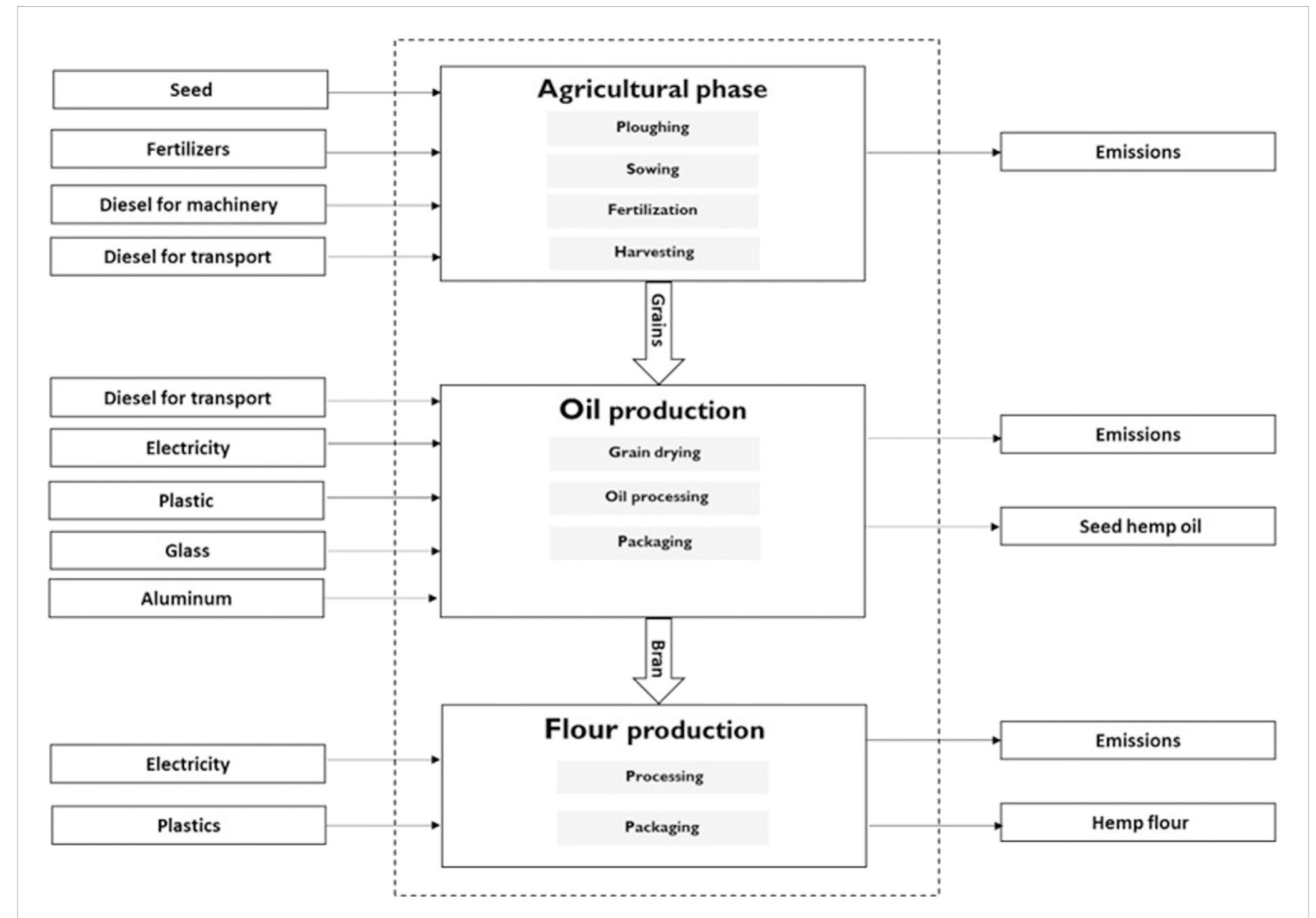 Flowchart of conventional outdoor hemp crops from
