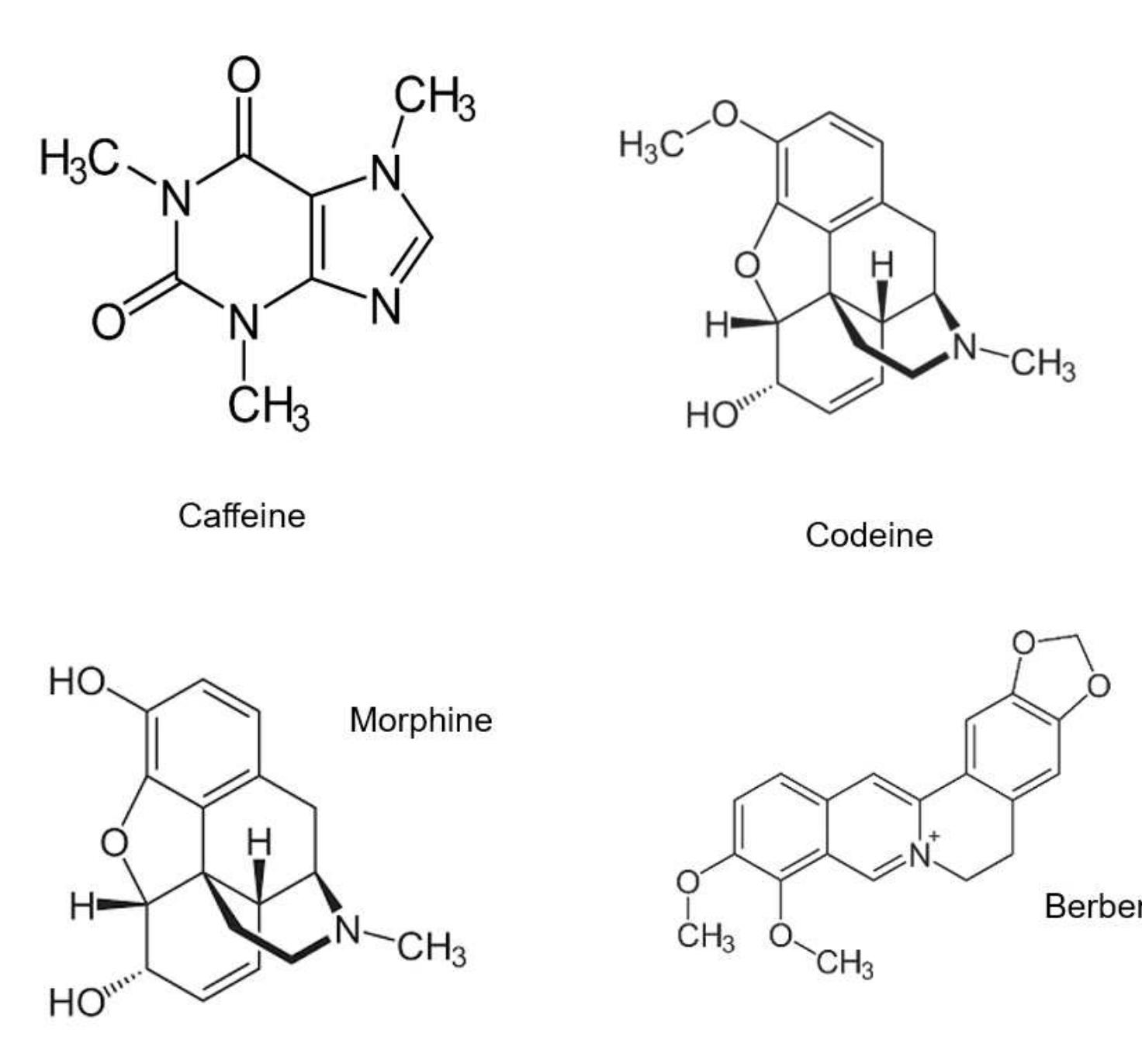 Basic structures of some pharmacological alkaloids. isomeric