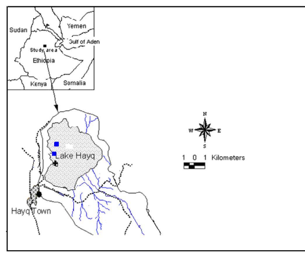 The map of lake hayq together with sampling stations (square