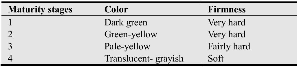 Evolution of fruit color and firmness in the course of
