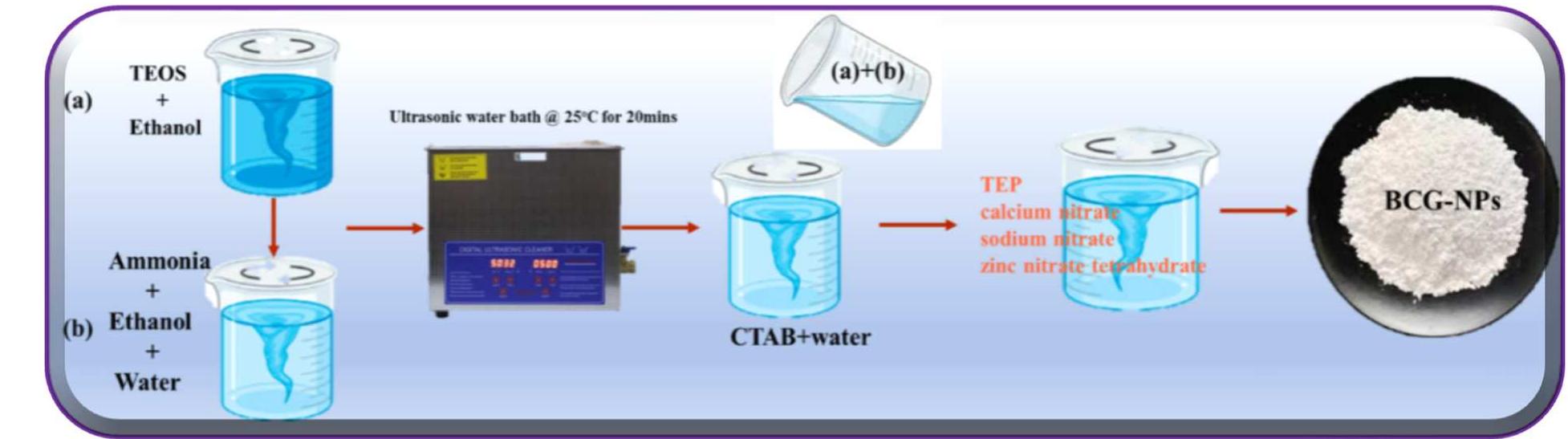 Schematic illustration of the synthesis mechanism behind