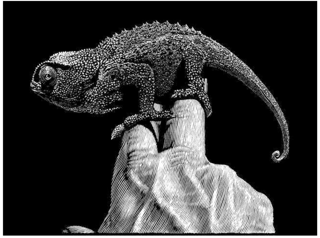 “the chameleon,” illustrated by barry moser