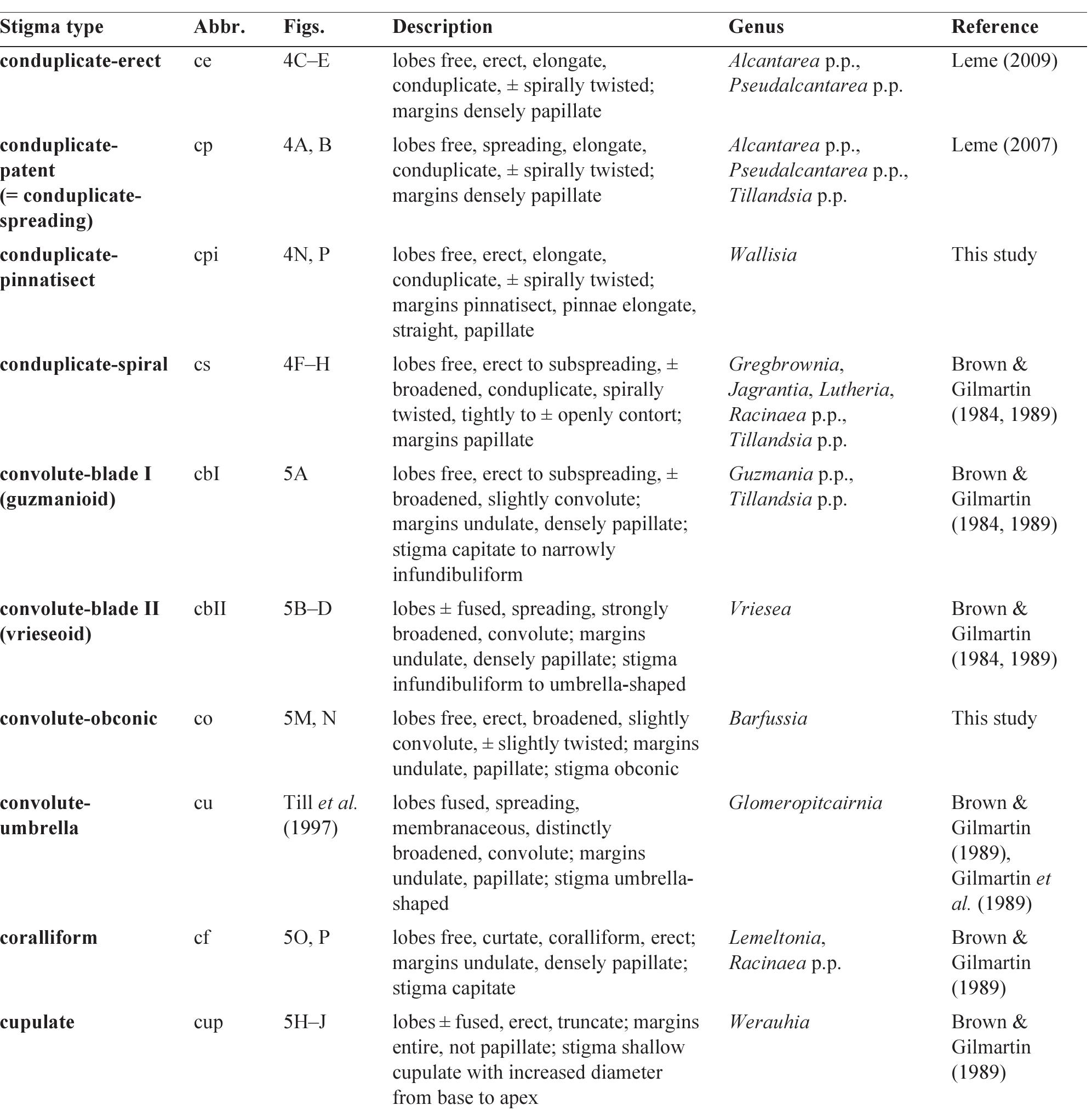 Stigma types in tillandsioideae. determination of stigma