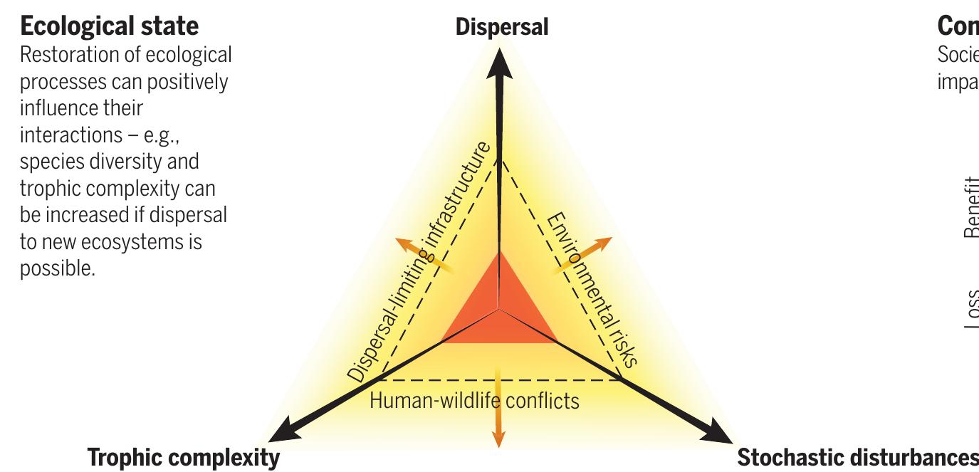 Rewilding actions and outcomes are framed by societal and