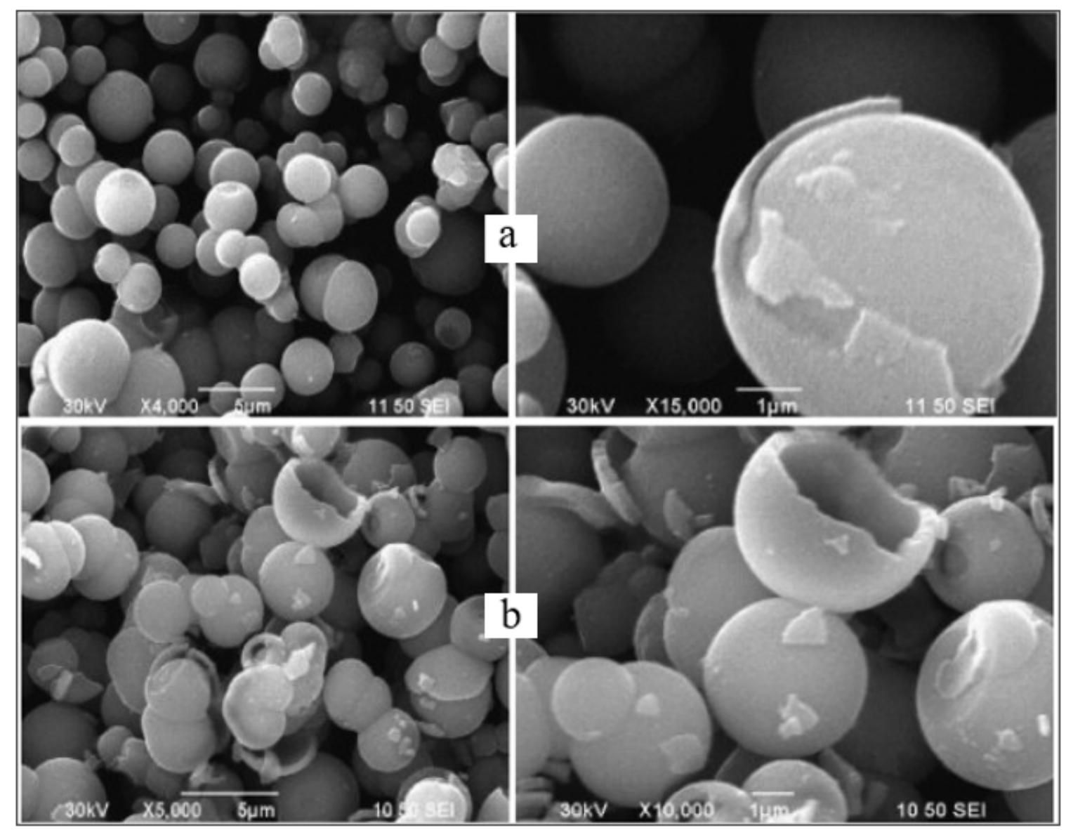 Tem images of the anatase samples treated at 120°c (a), and