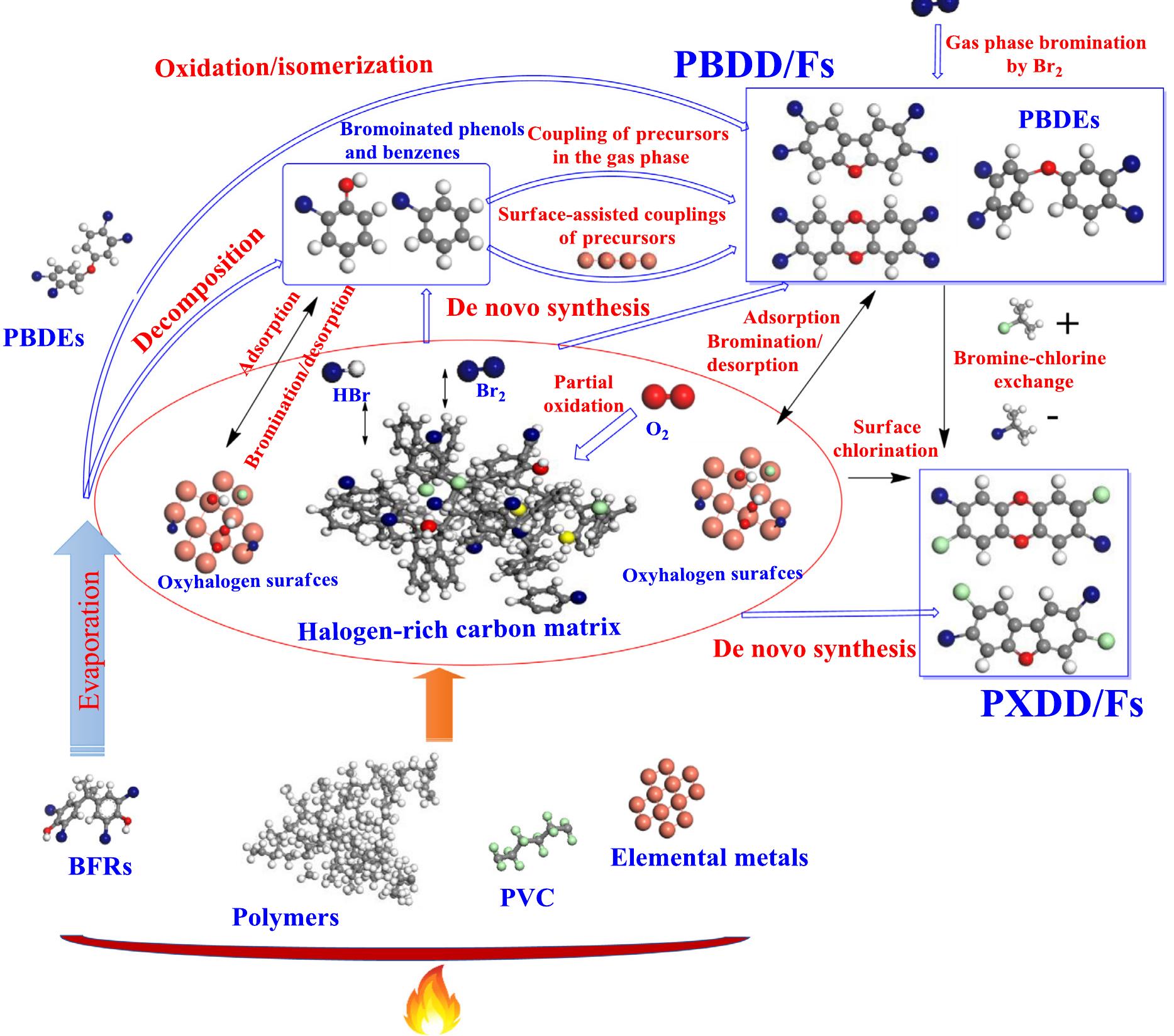 General pathways for the formation of pbdd/fs and pxdd/fs