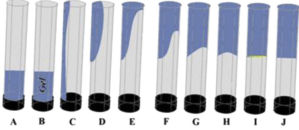 Figure 2 - from Identification and selection of a stable gel