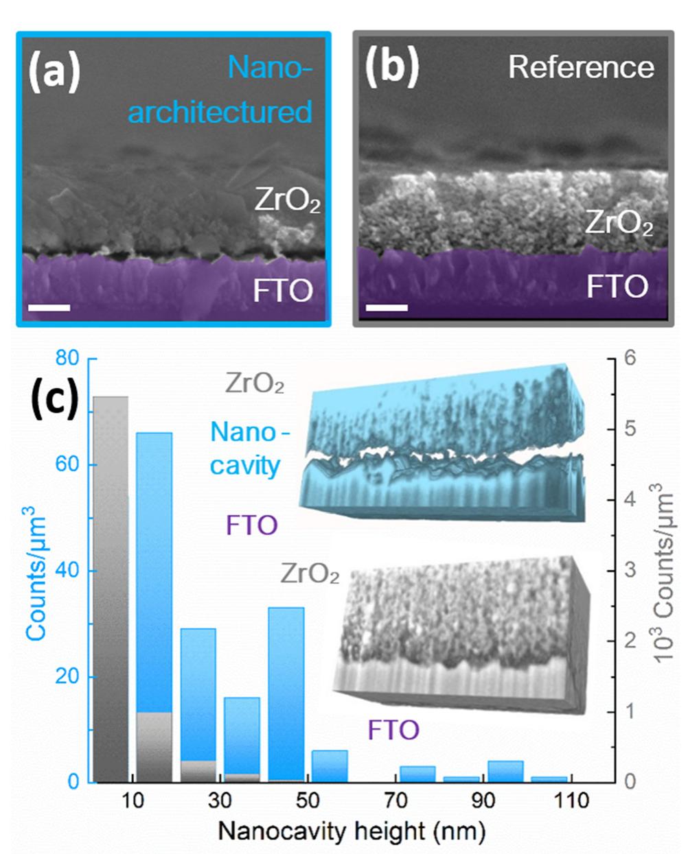 Cross-sectional scanning electron microscopy (sem) images of