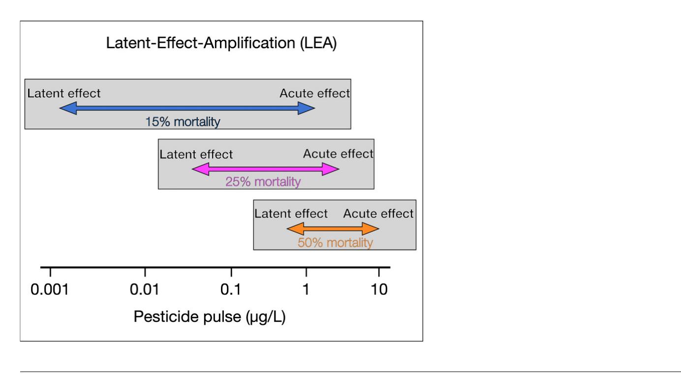 Short pulses of toxicants can cause latent effects that