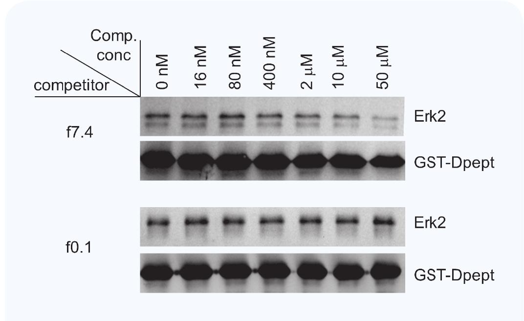 Specific binding of erk-2 to dpept and f7.4. (a) gst-dpept
