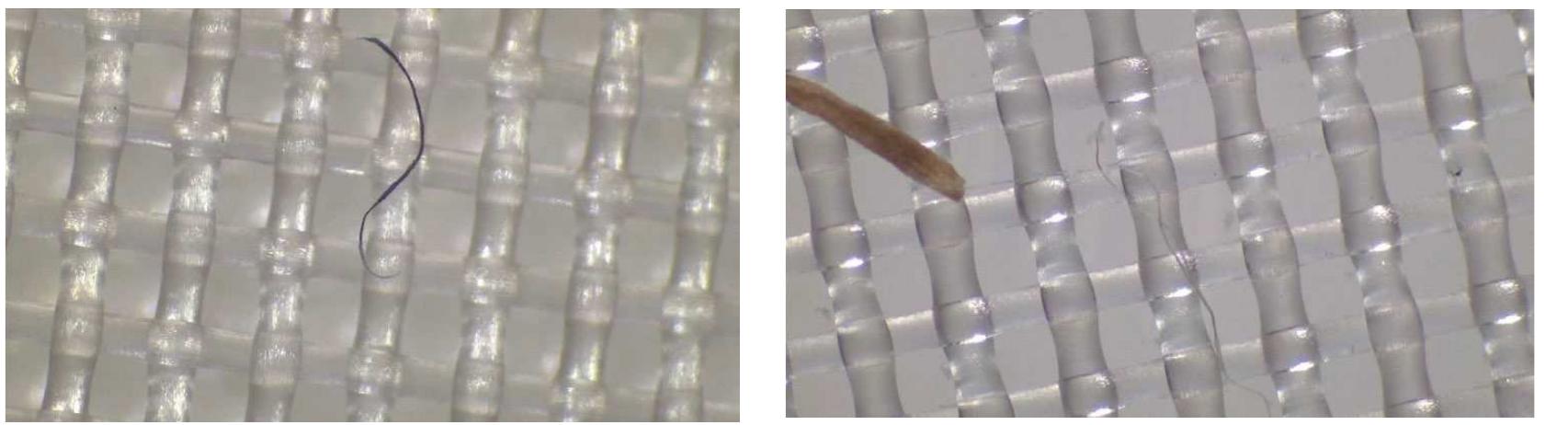 Examples of microplastic color shapes collected from kuala