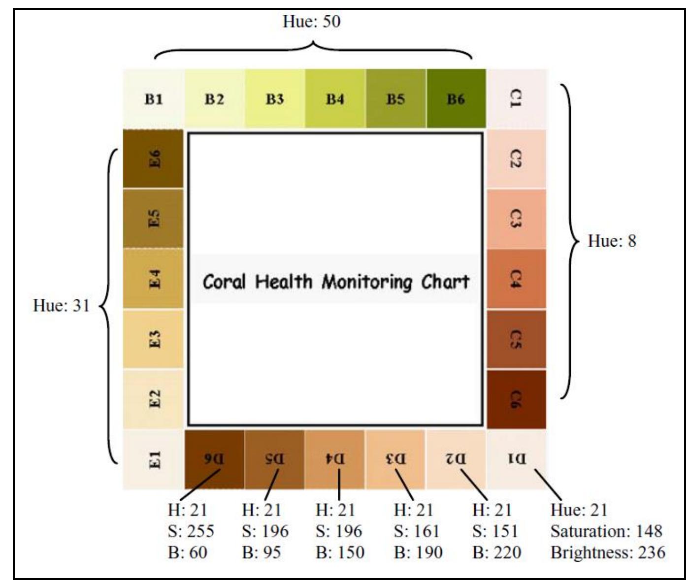 Coral health index monitoring chart based on coral color