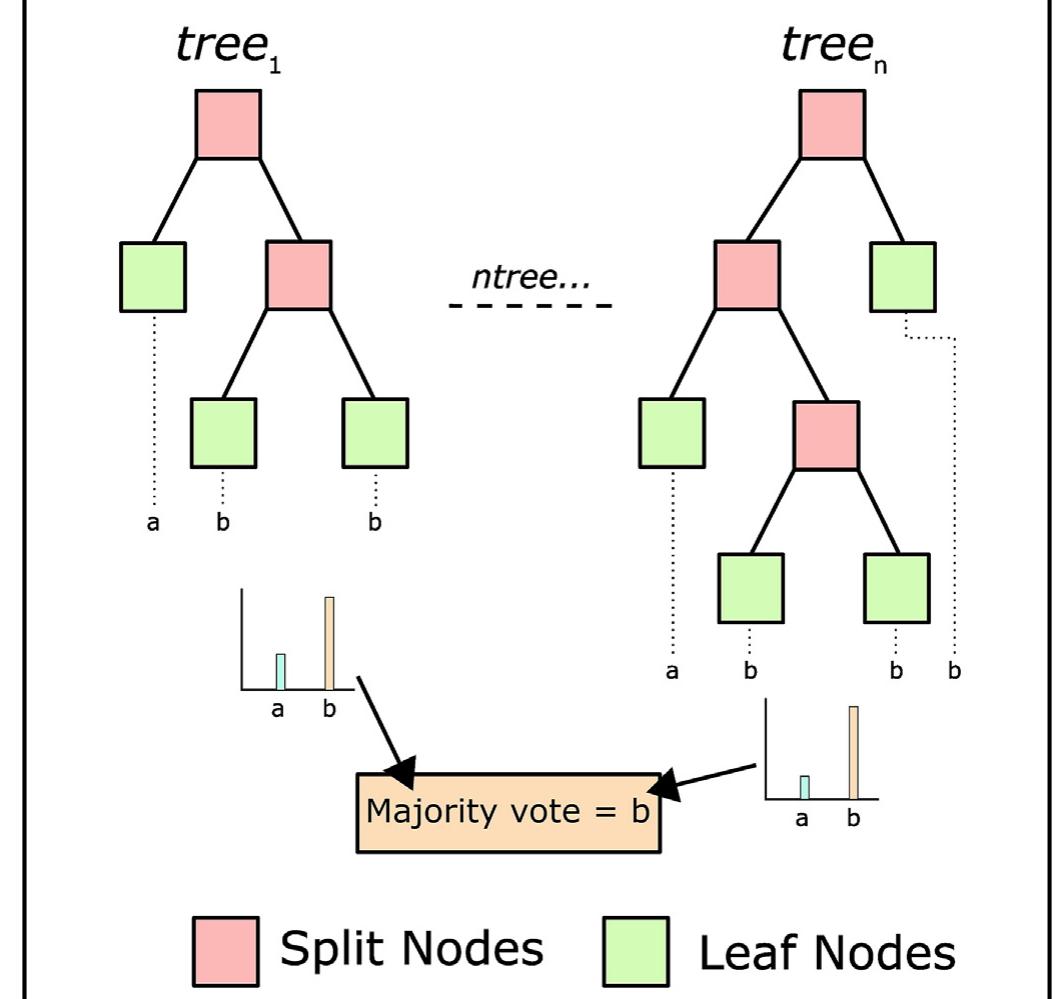 Schematic random forest diagram illustrating the interaction