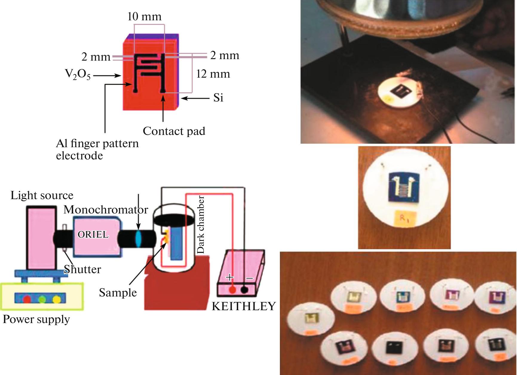 Photograph of the fabricated photodiode samples and