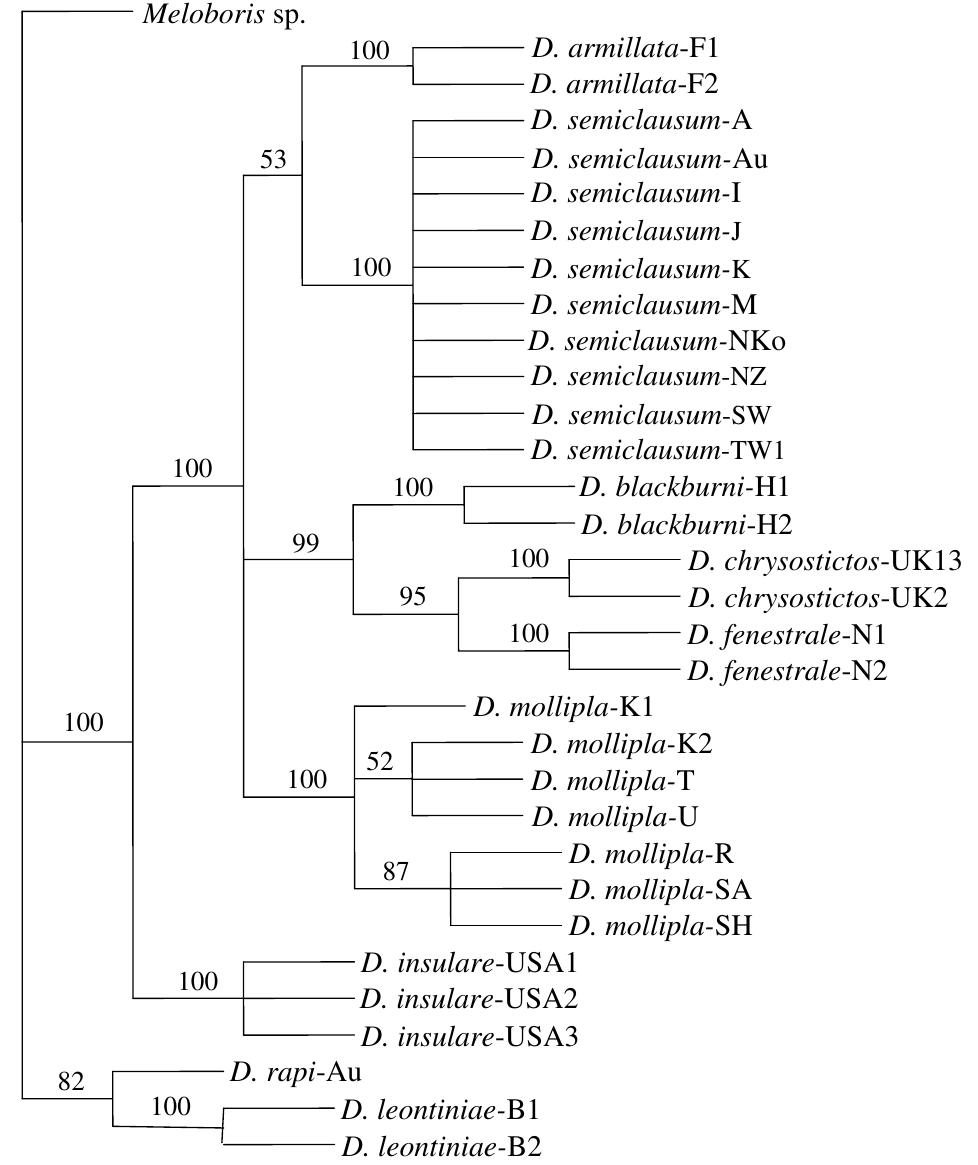 Single most-parsimonious tree topology (610 steps;