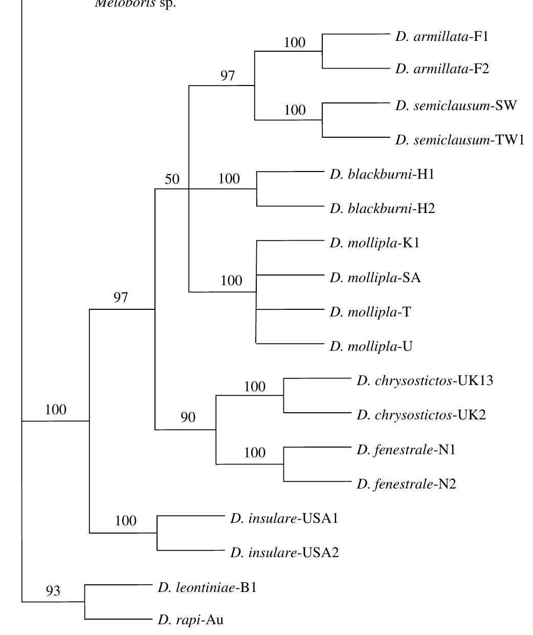 Single most-parsimonious tree topology (679 steps;