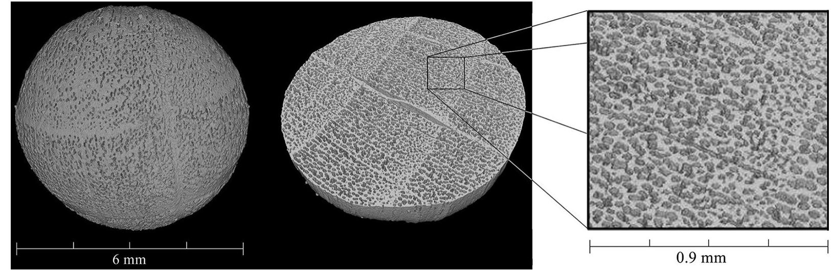 Surface texture and inner morphology of a single wood