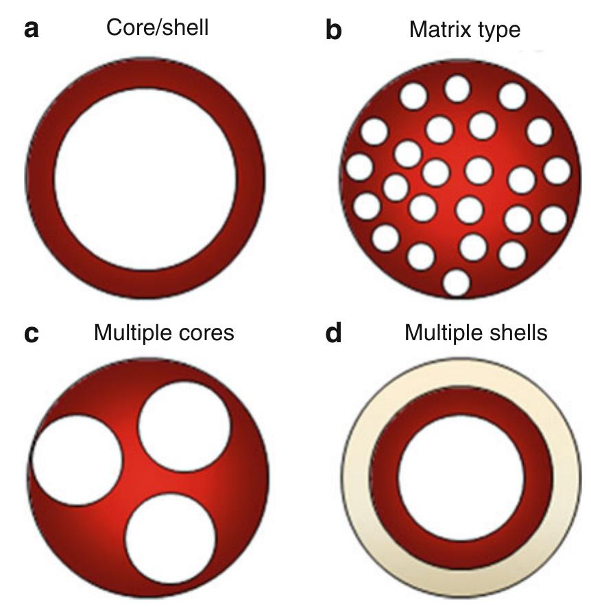 Encapsulation, fig. 1 schematic diagrams of capsules with