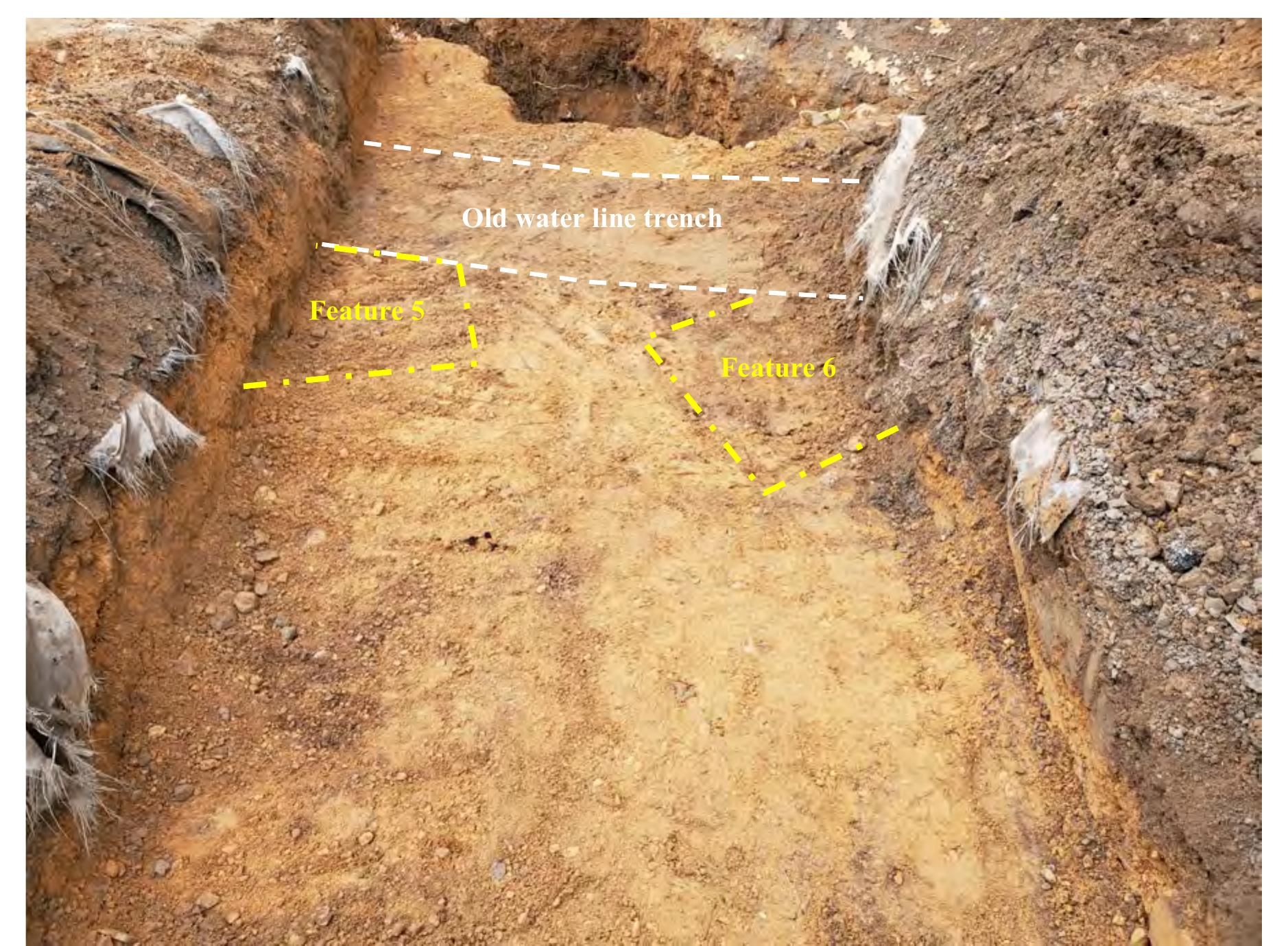 Photo 12— scraped floor of trench 3 showing features 5 and