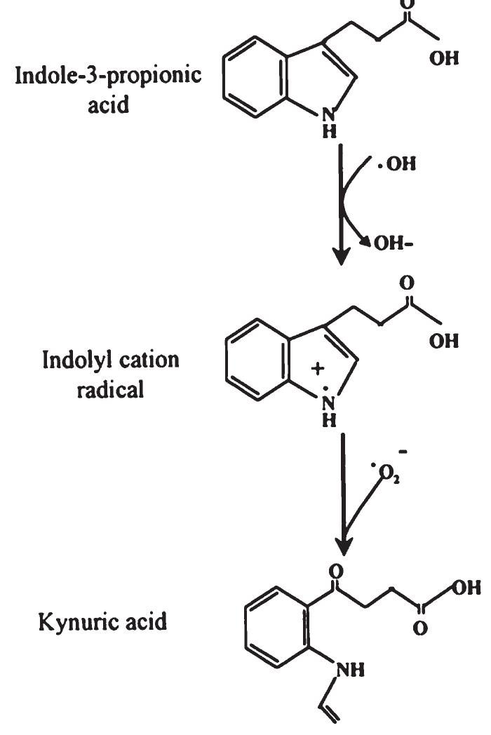 Figure 2 - from Oxidative Stress in Alzheimer's Disease: The