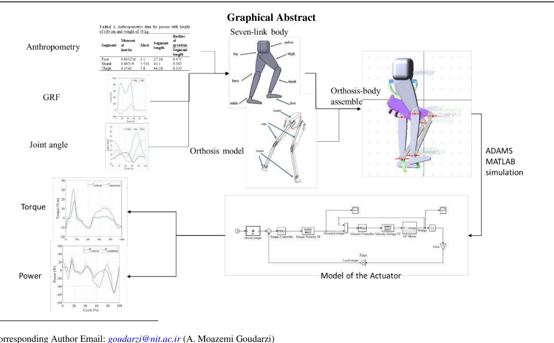 This article presents a new lower limb orthosis for helping