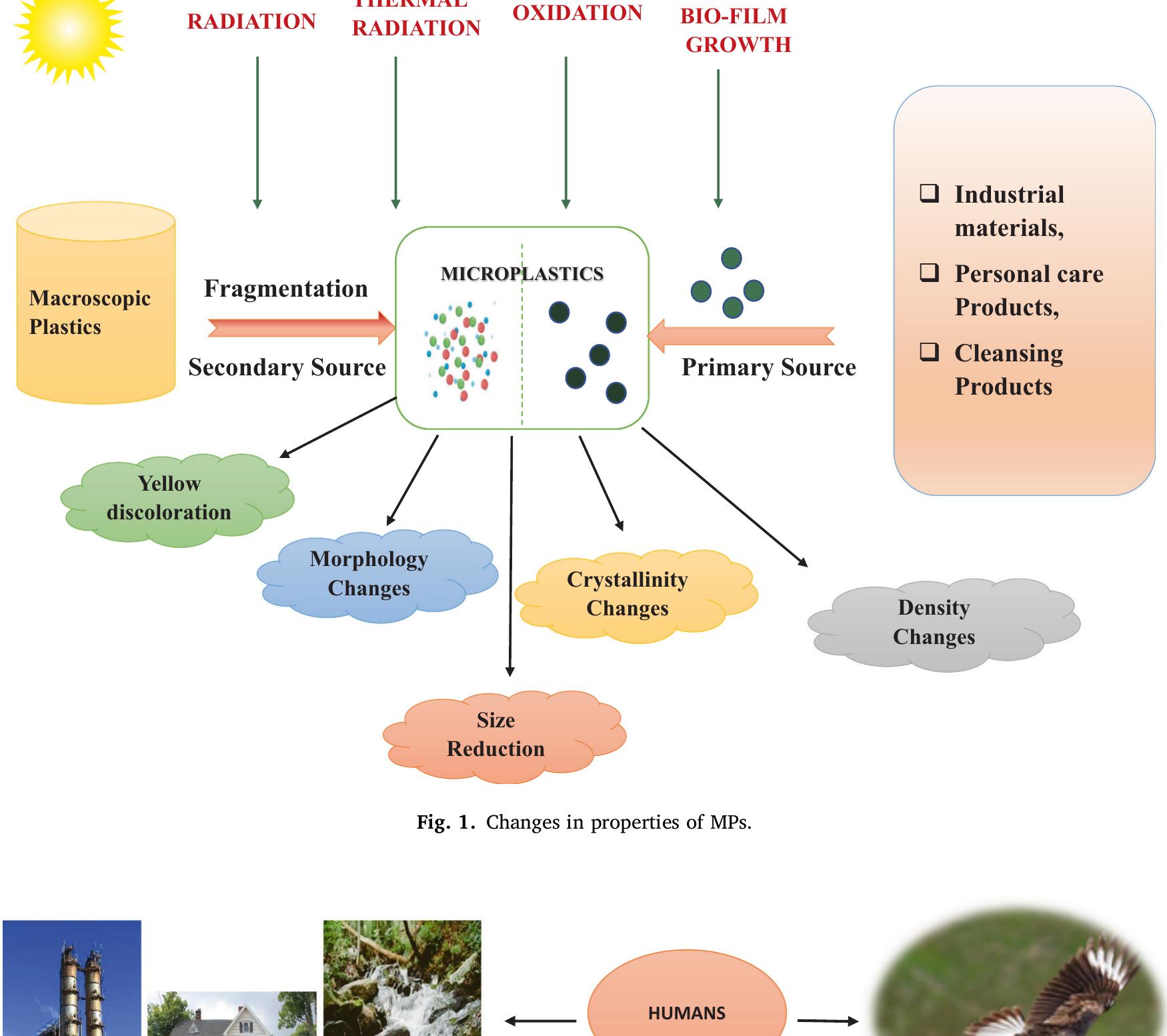 Figure 2 - Microplastics pollution in the marine