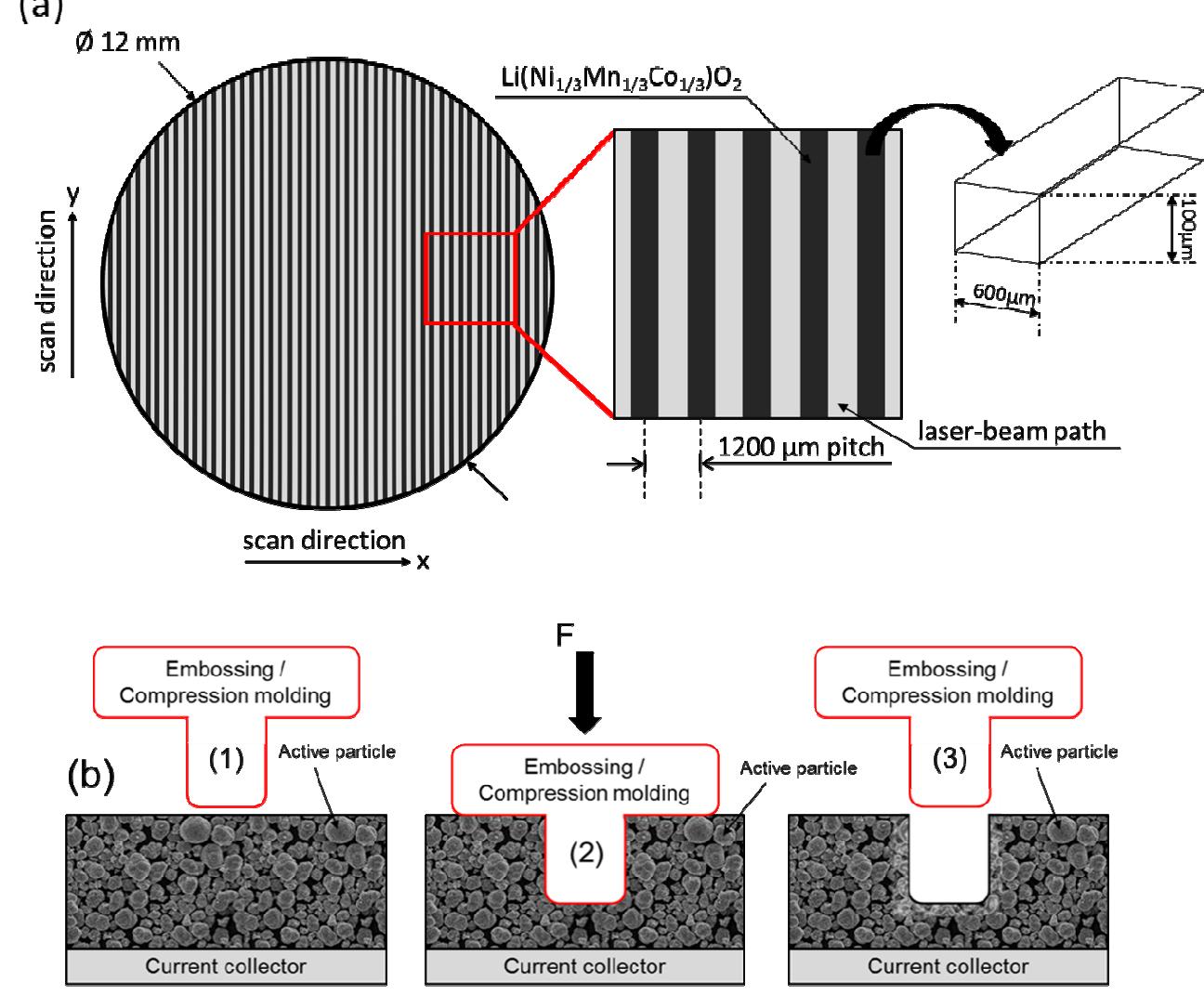Schematic diagram of processing steps for the generation of