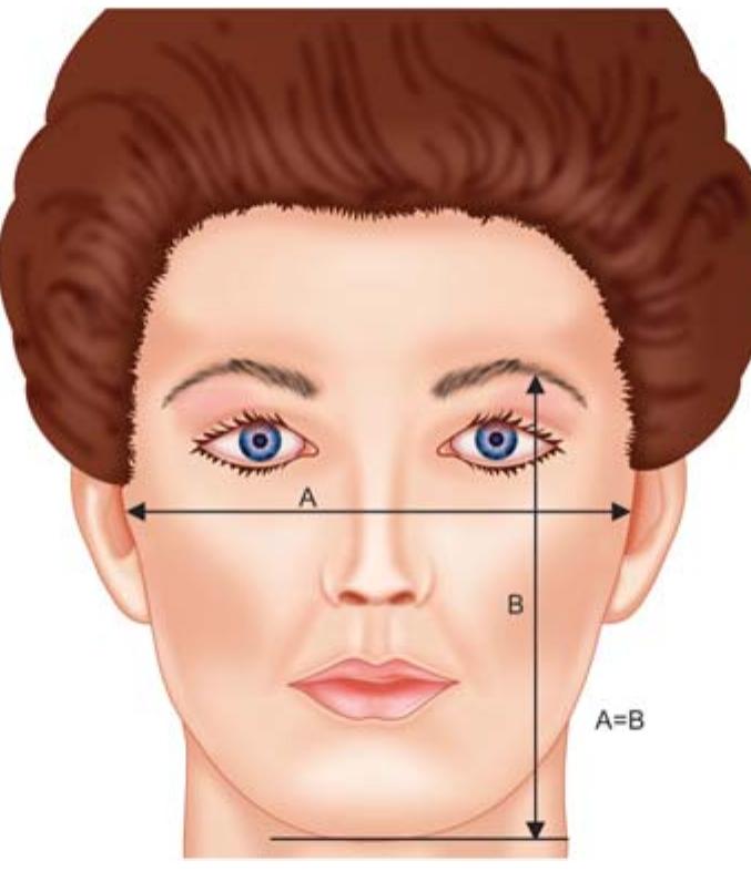 Schematic diagram of the face and the relationship between