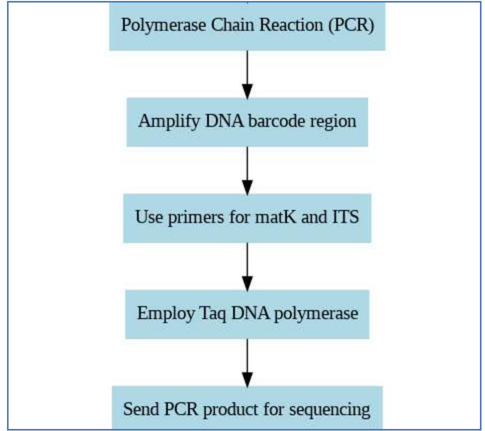 Flowchart of methodology involved in pcr