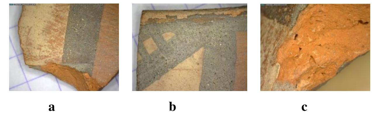 (PDF) Early Harappan Pottery from Harappa: A Detailed Analysis (3700 ...