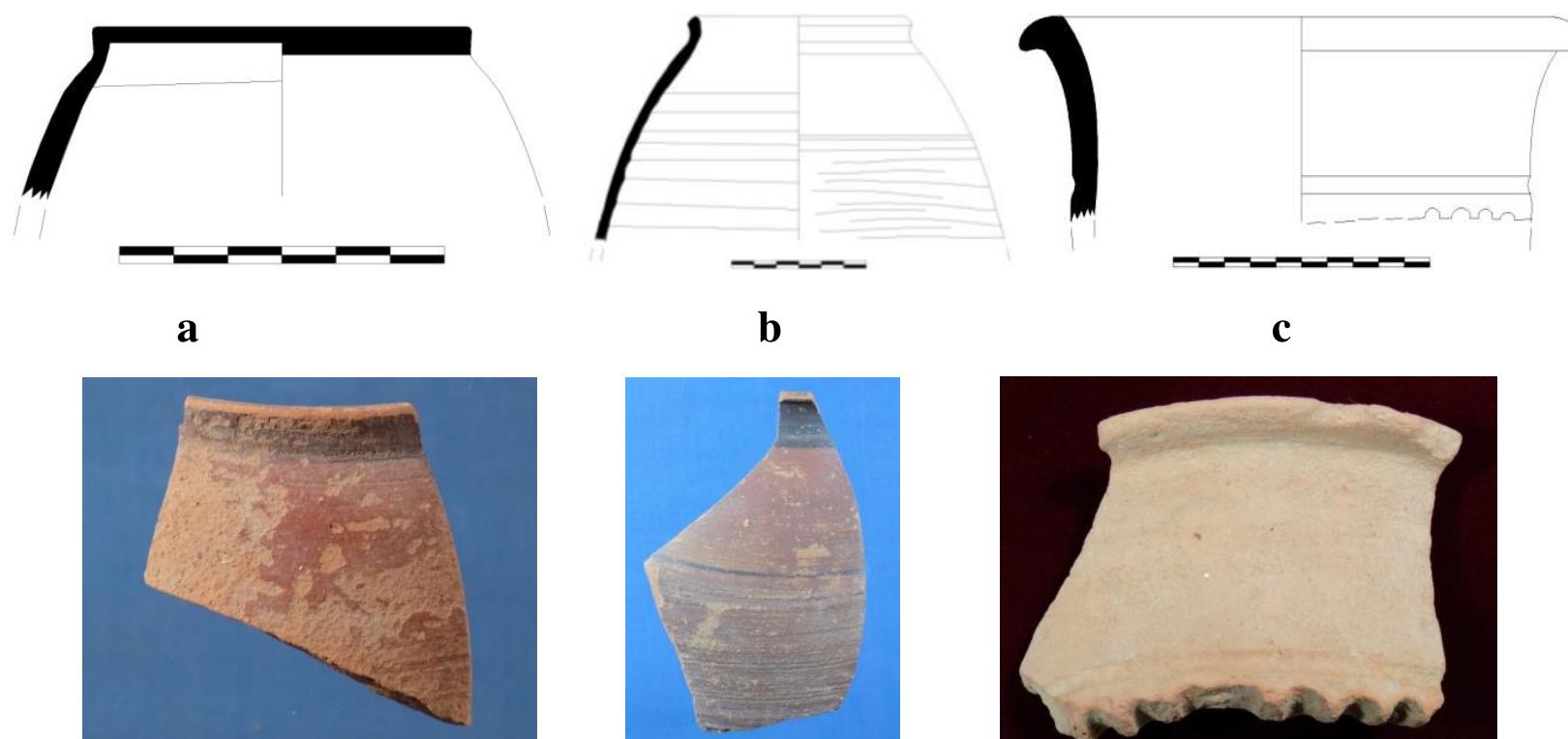 (PDF) Early Harappan Pottery from Harappa: A Detailed Analysis (3700 ...