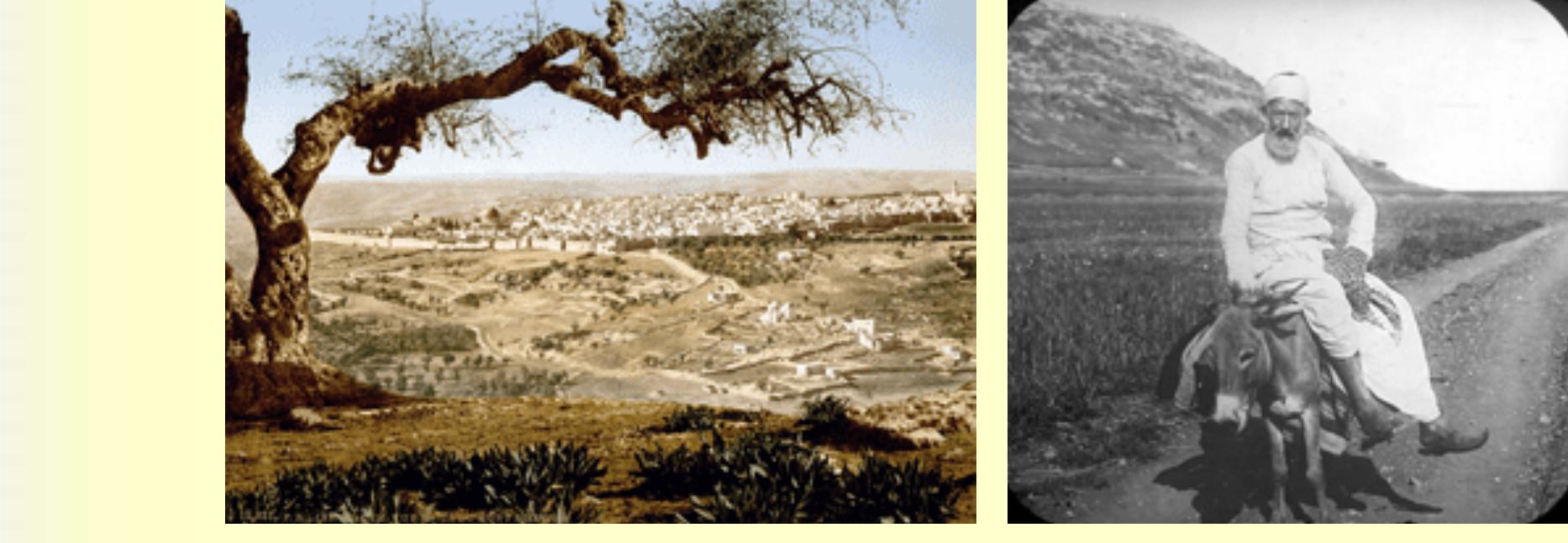 Ilan Troen - Brandeis University