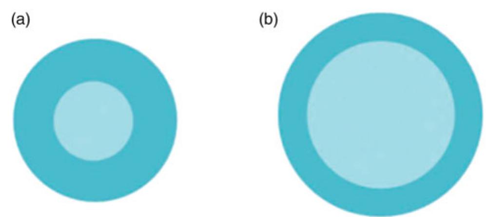 The sheath thickness schematic affected by the core